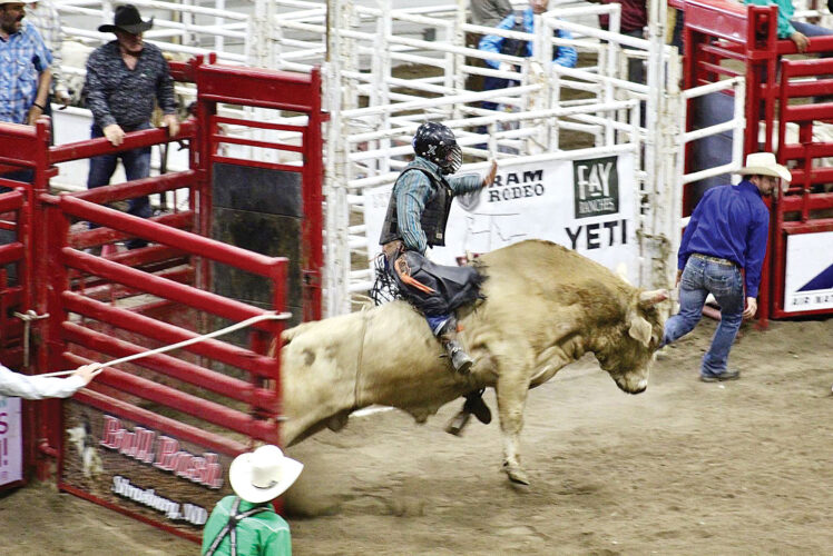 Riders display strength, grit in bull, bronc riding challenges | News ...